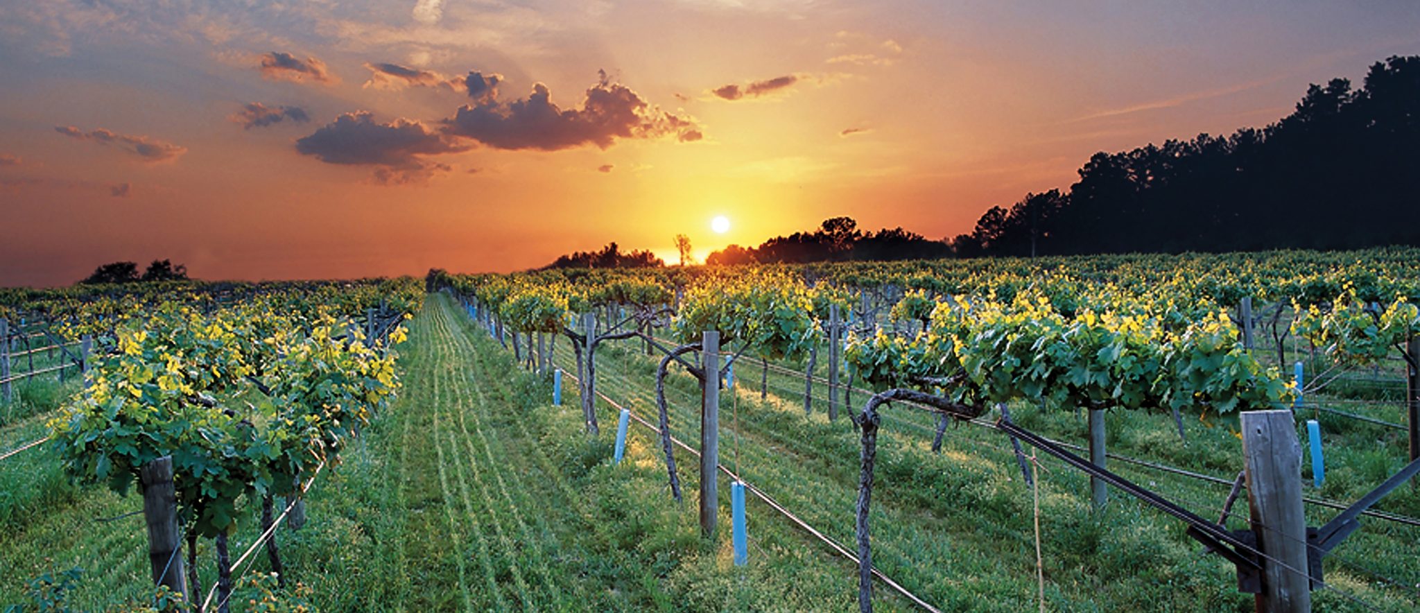 Take a Fall Winery Tour | Butterfield Trail Village