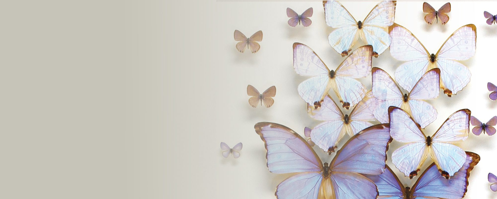 Unraveling Humanity’s Intimate Relationship with the Natural World ...